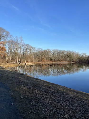 Best Hikes and Trails in Wharton Brook State Park | AllTrails