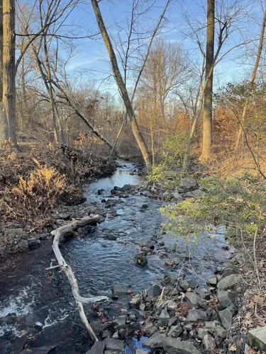Best Hikes and Trails in Wharton Brook State Park | AllTrails