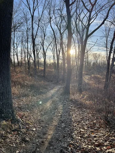 Best Hikes and Trails in Wharton Brook State Park | AllTrails