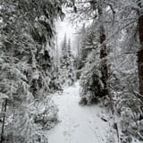 Lost '40' Trail, Minnesota - 182 Reviews, Map | AllTrails