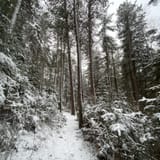 Lost '40' Trail, Minnesota - 182 Reviews, Map | AllTrails