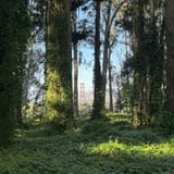 Presidio Loop Trail, California - 1,492 Reviews, Map | AllTrails