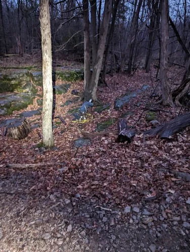Best Kid Friendly Trails in Clark Reservation State Park | AllTrails