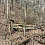 Mt. Airy Forest Outer Loop, Ohio - 128 Reviews, Map | AllTrails