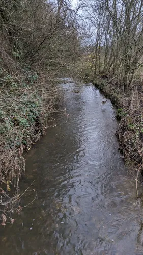 Best Hikes and Trails in Hothfield Common Nature Reserve | AllTrails