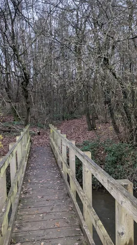 Best Hikes and Trails in Hothfield Common Nature Reserve | AllTrails