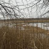 Barn Island Wildlife Management Area Trail, Connecticut - 586 Reviews ...