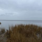 Barn Island Wildlife Management Area Trail, Connecticut - 715 Reviews ...