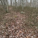 Barn Island Wildlife Management Area Trail, Connecticut - 586 Reviews ...