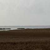 Barn Island Wildlife Management Area Trail, Connecticut - 586 Reviews ...