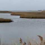 Barn Island Wildlife Management Area Trail, Connecticut - 586 Reviews ...