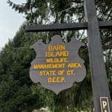 Barn Island Wildlife Management Area Trail, Connecticut - 586 Reviews ...