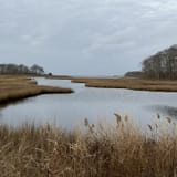 Barn Island Wildlife Management Area Trail, Connecticut - 586 Reviews ...