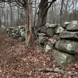 Barn Island Wildlife Management Area Trail, Connecticut - 586 Reviews ...