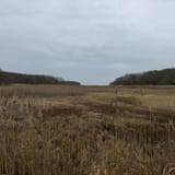 Barn Island Wildlife Management Area Trail, Connecticut - 586 Reviews ...
