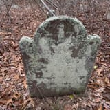 Barn Island Wildlife Management Area Trail, Connecticut - 586 Reviews ...