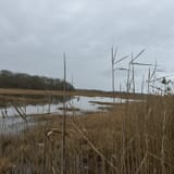 Barn Island Wildlife Management Area Trail, Connecticut - 715 Reviews ...