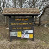 Barn Island Wildlife Management Area Trail, Connecticut - 586 Reviews ...