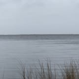 Barn Island Wildlife Management Area Trail, Connecticut - 715 Reviews ...