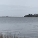 Barn Island Wildlife Management Area Trail, Connecticut - 715 Reviews ...