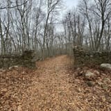 Barn Island Wildlife Management Area Trail, Connecticut - 594 Reviews ...