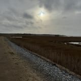 Barn Island Wildlife Management Area Trail, Connecticut - 594 Reviews ...