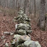 Barn Island Wildlife Management Area Trail, Connecticut - 594 Reviews ...