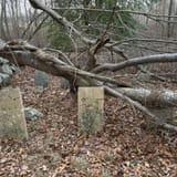 Barn Island Wildlife Management Area Trail, Connecticut - 594 Reviews ...