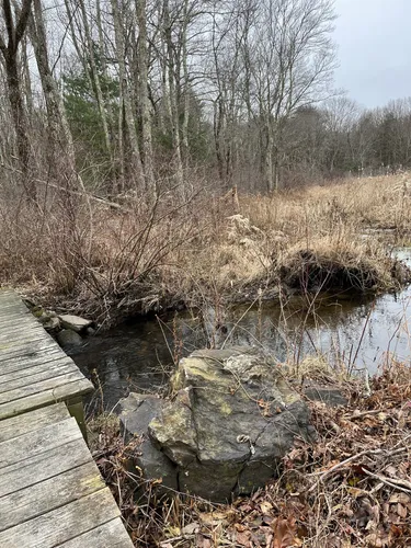 Best Hikes and Trails in Cold Harbor Brook F.C. | AllTrails