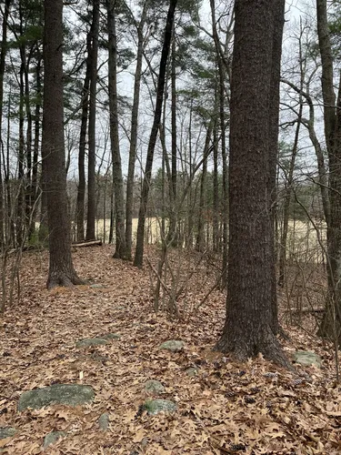 Best Hikes and Trails in Cold Harbor Brook F.C. | AllTrails