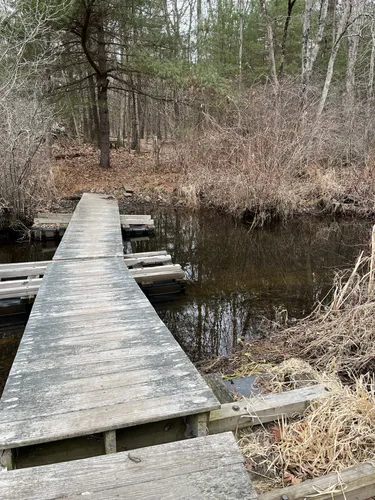 Best Hikes and Trails in Cold Harbor Brook F.C. | AllTrails