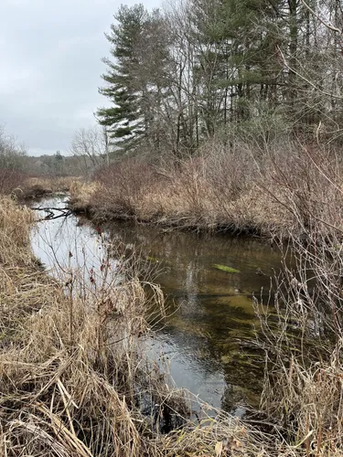 Best Hikes and Trails in Cold Harbor Brook F.C. | AllTrails