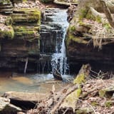 Mack's Pines East Side Loop, Arkansas - 30 Reviews, Map | AllTrails