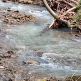 Mack's Pines East Side Loop, Arkansas - 30 Reviews, Map | AllTrails