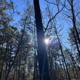 Coon Ridge Trail, Oklahoma - 357 Reviews, Map | AllTrails