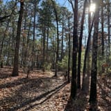 Coon Ridge Trail, Oklahoma - 357 Reviews, Map | AllTrails