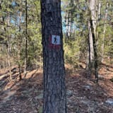 Coon Ridge Trail, Oklahoma - 357 Reviews, Map | AllTrails