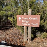 Coon Ridge Trail, Oklahoma - 357 Reviews, Map | AllTrails