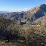 Figueroa Mountain [CLOSED], California - 320 Reviews, Map | AllTrails
