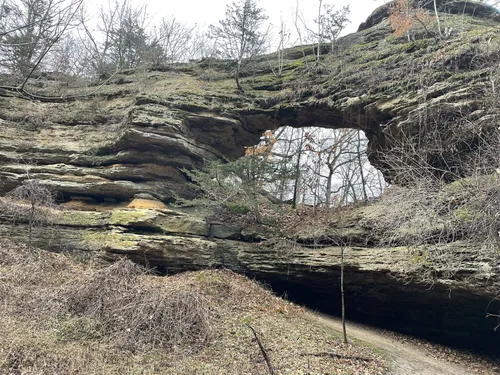 Best Hikes and Trails in Natural Bridge State Park | AllTrails
