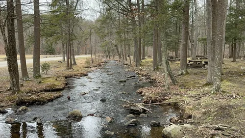 Best Walking Trails in Stokes State Forest | AllTrails