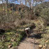 Grasslands Loop Trail, California - 1,524 Reviews, Map | AllTrails