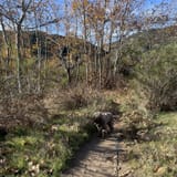 Grasslands Loop Trail, California - 1,524 Reviews, Map | AllTrails