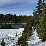 Summit Lake Trail, Washington - 2,698 Reviews, Map | AllTrails