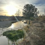 Sycamore Creek Trail, California - 832 Reviews, Map | AllTrails