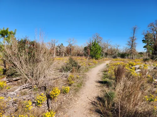 Best Hikes and Trails in Buescher State Park | AllTrails