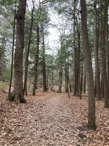 Best Hikes and Trails in Red Rocks Park | AllTrails