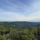 Cedar Trail and University OHV Trail, Oregon - 70 Reviews, Map | AllTrails