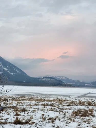 Best Hikes and Trails in Salmon Arm Naturalist Park | AllTrails