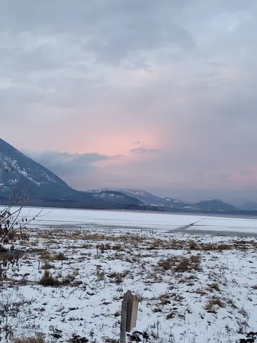 Best Hikes and Trails in Salmon Arm Naturalist Park | AllTrails